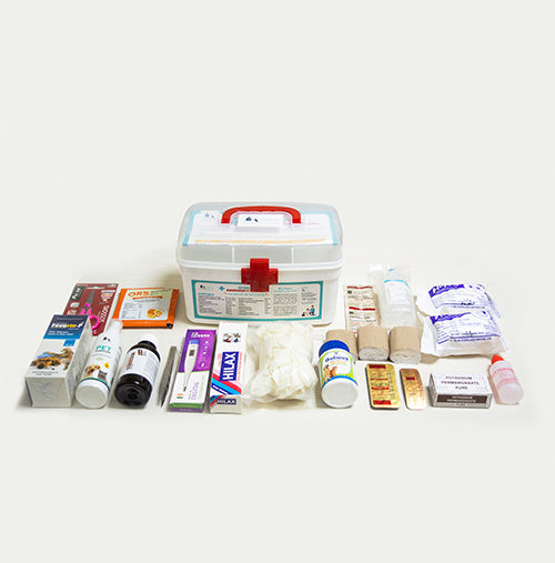 Wiggles Emergency Care Kit – ShakeHands
