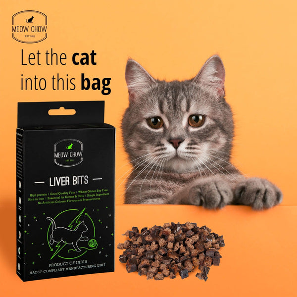 Doggie Dabbas Meow Chow Chicken Liver Bite For Cat 50 G Pack of 3 ...