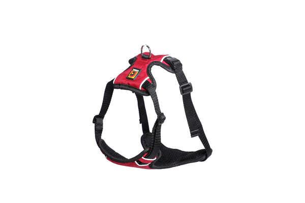 Kennel Full Body Harness (X Large - 34") – ShakeHands