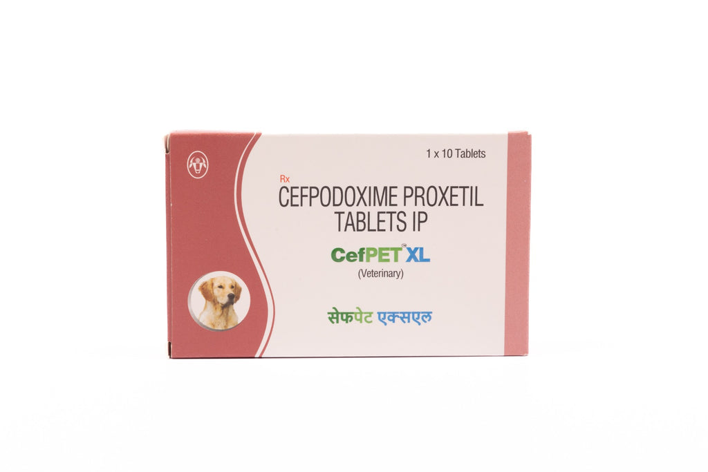 Intas Cefpet XL Tablets 200 mg – ShakeHands