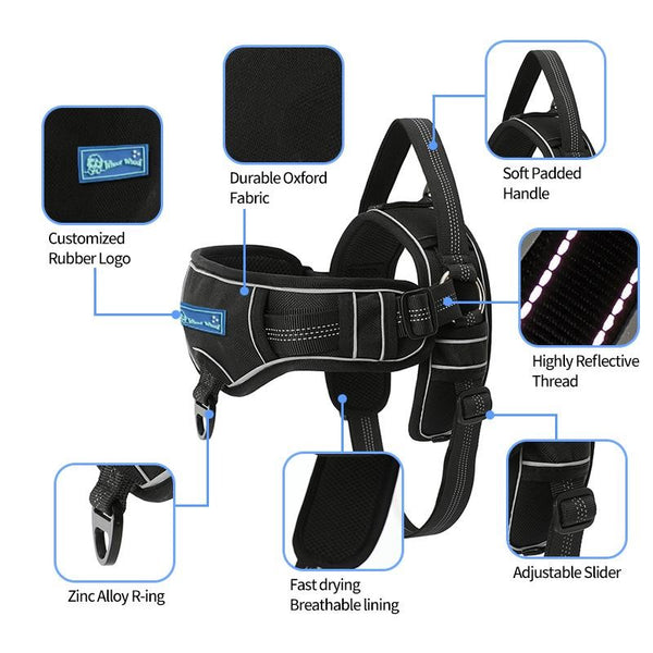 Whoof Whoof Dog Fully Padded Harness – ShakeHands