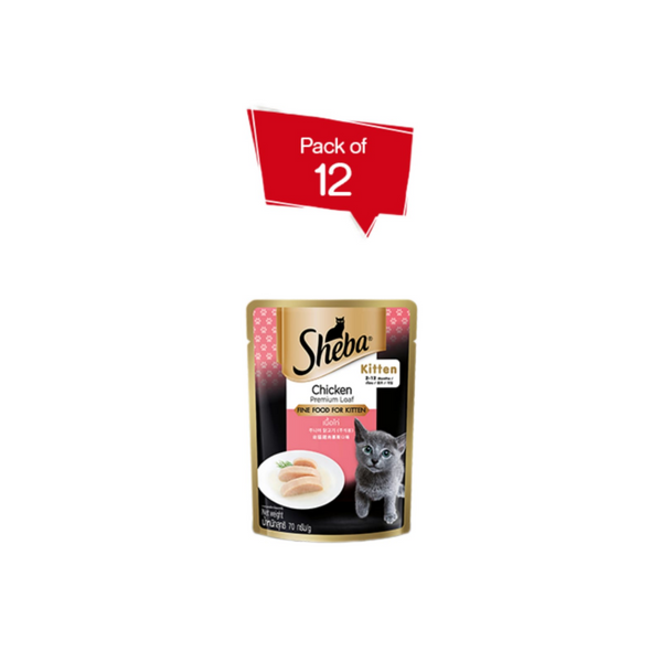 Sheba Chicken Premium Loaf Kitten Pouch 70 G (Pack Of 12) Ecom Pack ...