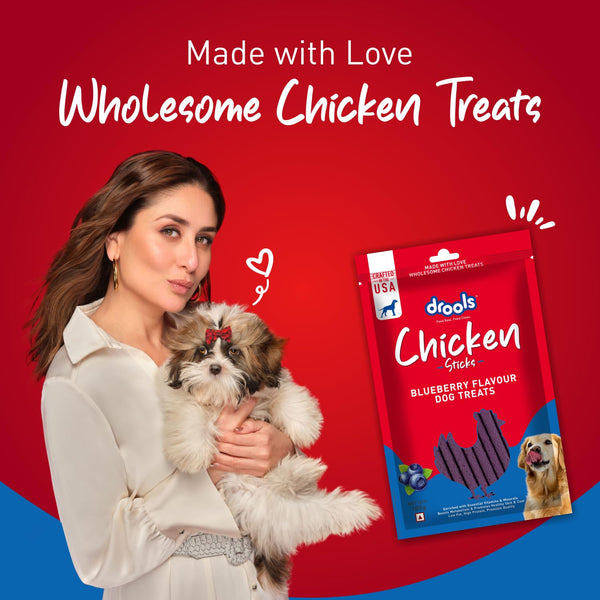 Drools Blueberry Flavour Chicken Stick Dog Treats – ShakeHands