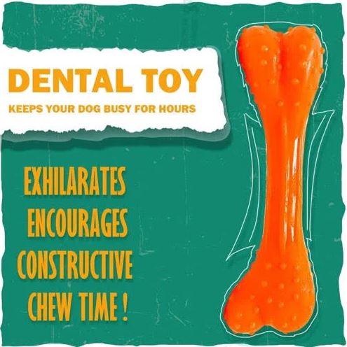 Super Fun Toy Flavored Dotted Rubber Bone Dog Toy – ShakeHands