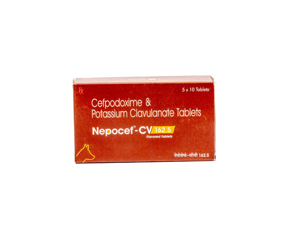 TTK Nepocef-CV 162.5 Flavored Tablets – ShakeHands